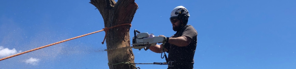 Contact Us – Tip Top Trees and Gardens